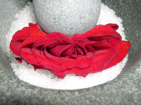 Salt Rose Flower Mortar Pestle Editorial Stock Photo - Stock Image ...