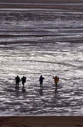 CHINESE COCKLE PICKERS, MORECAMBE BAY, LANCASHIRE, BRITAIN - 2004 Stock ...