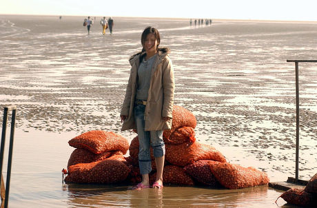 CHINESE COCKLE PICKERS, MORECAMBE BAY, LANCASHIRE, BRITAIN - 2004 Stock ...