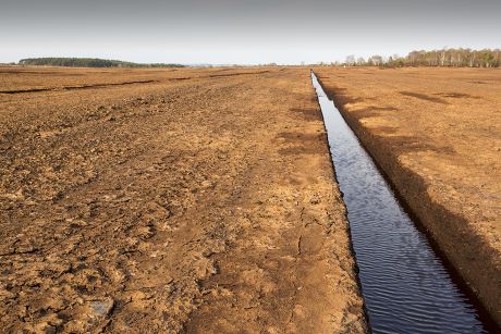 Raised Bog Being Harvested Peat Near Editorial Stock Photo - Stock ...