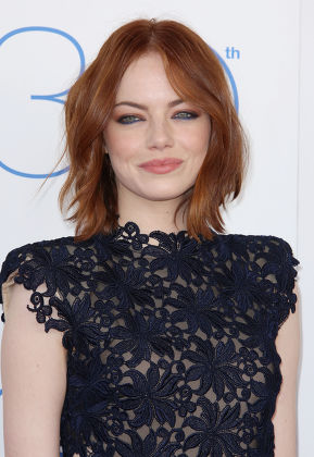 Emma Stone Father Editorial Stock Photo - Stock Image | Shutterstock