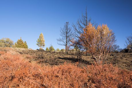 Foscheck Fire Retardent Dropped On Wild Editorial Stock Photo - Stock ...