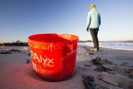 250 Garbage bucket Stock Pictures, Editorial Images and Stock Photos ...