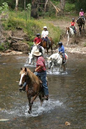 Pony Trekking Editorial Stock Photo - Stock Image | Shutterstock