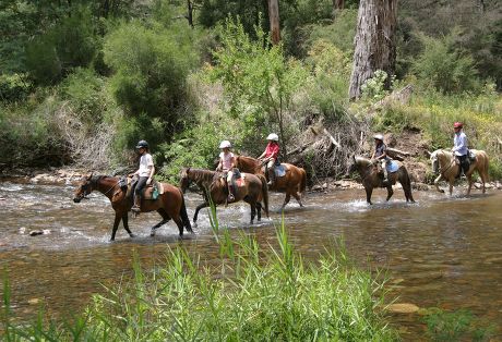 Pony Trekking Editorial Stock Photo - Stock Image | Shutterstock