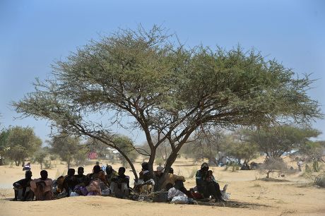 Refugees Sit Under Tree Unhcr Refugee Editorial Stock Photo - Stock ...