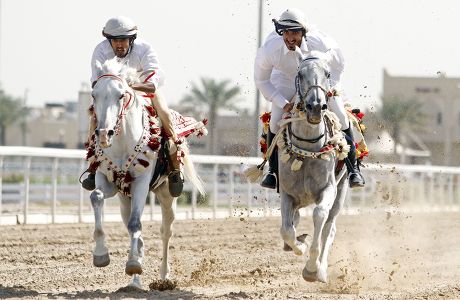Local Arabian Match Race Al Rayyan Editorial Stock Photo - Stock Image ...