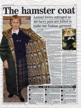 Hamster Fur Coat Editorial Stock Photo - Stock Image | Shutterstock