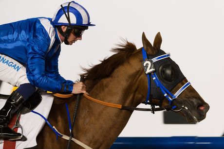 Nolohay Under Paul Hanagan Wins 8f Editorial Stock Photo - Stock Image ...