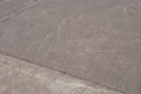 Condor Nazca Lines Unesco World Heritage Editorial Stock Photo - Stock ...