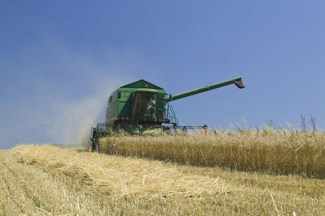 Combine Harvester Work Grain Harvest Hennef Editorial Stock Photo ...