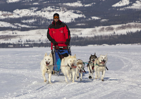 250 Alaskan man Stock Pictures, Editorial Images and Stock Photos ...