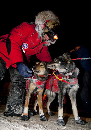 4 Time Champion Lance Mackey Thanking Editorial Stock Photo - Stock ...