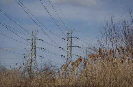 High Voltage Electricity Transmission Line Wetlands Editorial Stock ...