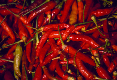 43 Chillie Stock Pictures, Editorial Images and Stock Photos | Shutterstock