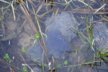 46 Shallow water bodies Stock Pictures, Editorial Images and Stock ...