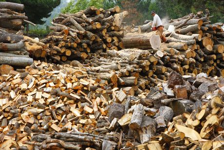 34 Lumber jacks Stock Pictures, Editorial Images and Stock Photos ...