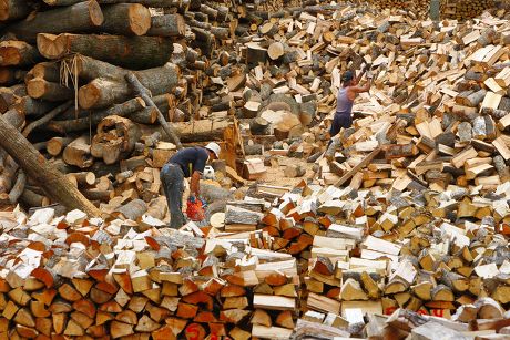 34 Lumber jacks Stock Pictures, Editorial Images and Stock Photos ...