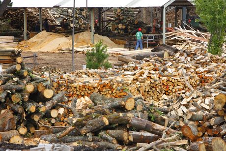 34 Lumber jacks Stock Pictures, Editorial Images and Stock Photos ...