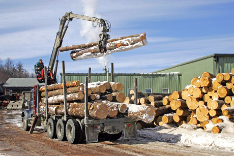 34 Timbermills Stock Pictures, Editorial Images and Stock Photos ...