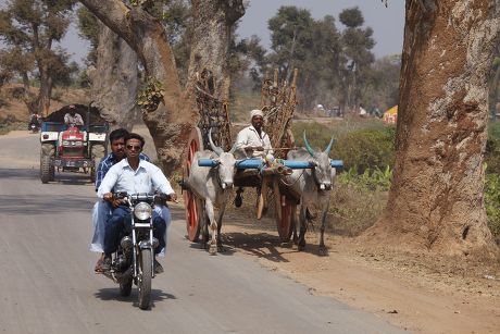 90 Cattle carts Stock Pictures, Editorial Images and Stock Photos ...