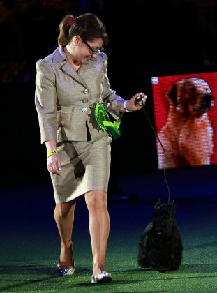 Handler Rebecca Cross Usa Knopa Best Editorial Stock Photo - Stock ...