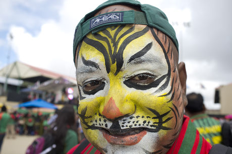 Bangladesh Cricket Supporter Tiger Painted On Editorial Stock Photo ...