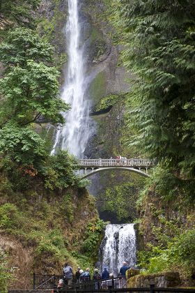 64 Multnomah falls Stock Pictures, Editorial Images and Stock Photos ...