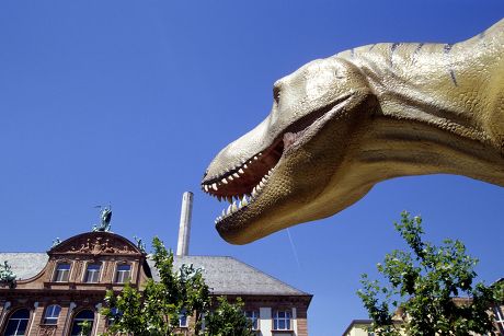 Dinosaurs Naturmuseum Natural History Museum Senckenberg Editorial ...