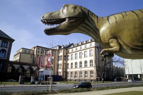 Dinosaurs Naturmuseum Natural History Museum Senckenberg Editorial ...