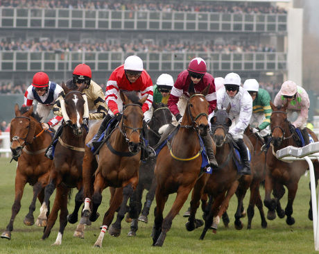 Wicklow Brave Paul Townend Wins Vincent Editorial Stock Photo - Stock ...