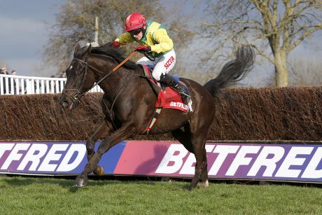 Goonyella Johnathon Burke Winning Betfred Midlands Editorial Stock ...