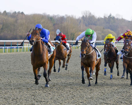 Tryster Adam Kirby Winning Trainer Charlie Editorial Stock Photo ...