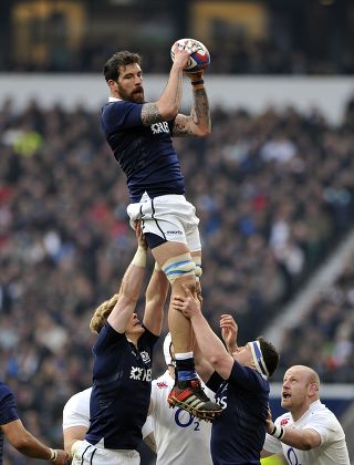Jim Hamilton Scotland Wins Ball Lineout Editorial Stock Photo - Stock ...