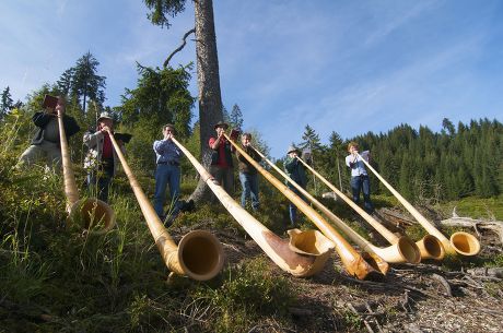 89 Alphorns Stock Pictures, Editorial Images and Stock Photos ...