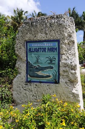30 Alligator signs Stock Pictures, Editorial Images and Stock Photos ...