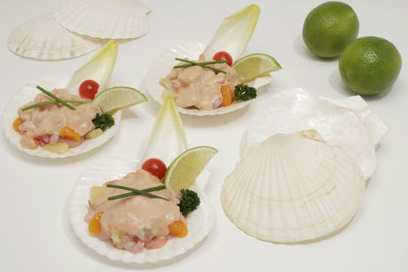 59 Crab shells Stock Pictures, Editorial Images and Stock Photos ...