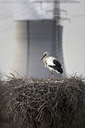 15 Breeding stations Stock Pictures, Editorial Images and Stock Photos ...