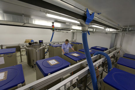 Stem Cells Stored Nitrogentanks Stem Cell Editorial Stock Photo - Stock ...