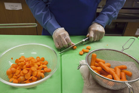 Student Chops Carrots Food Preparation Class Editorial Stock Photo ...