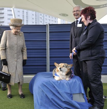 queen elizabeth ii animals Stock Photos (Exclusive) | Shutterstock