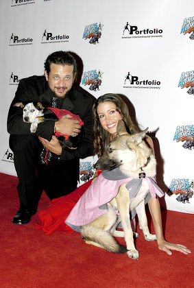 Joseph Reitman Shannon Elizabeth Editorial Stock Photo - Stock Image ...