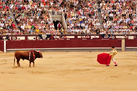 Bullfighter Matador Scarlet Cape Muleta Sword Editorial Stock Photo ...