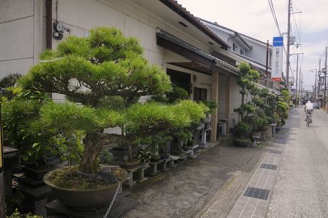 67 Japanese bucket Stock Pictures, Editorial Images and Stock Photos ...