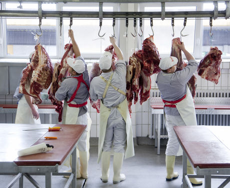 Model Released Master Butcher Trainees Cutting Editorial Stock Photo ...