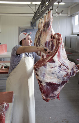 Model Released Master Butcher Trainee Cutting Editorial Stock Photo ...