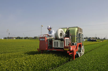 59 Reaper machine Stock Pictures, Editorial Images and Stock Photos ...
