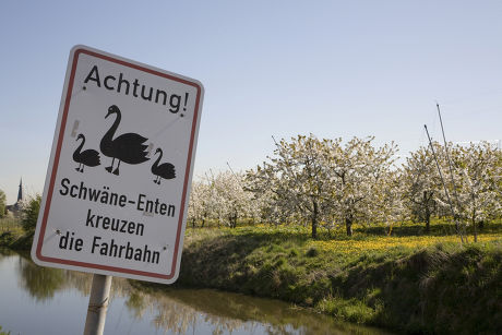 Sign German Attention Swans Ducks Crossing Editorial Stock Photo ...