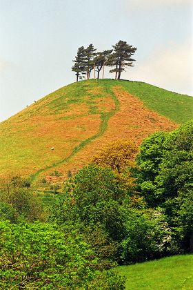 Colmer Hill Symondsbury Near Bridport Editorial Stock Photo - Stock ...