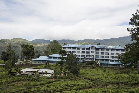 One Larger Tea Factories Bluefield Tea Editorial Stock Photo - Stock ...